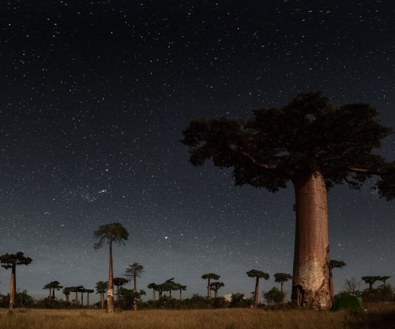 Astro-Tourism in the Southern Hemisphere: Luxury Stargazing with ...